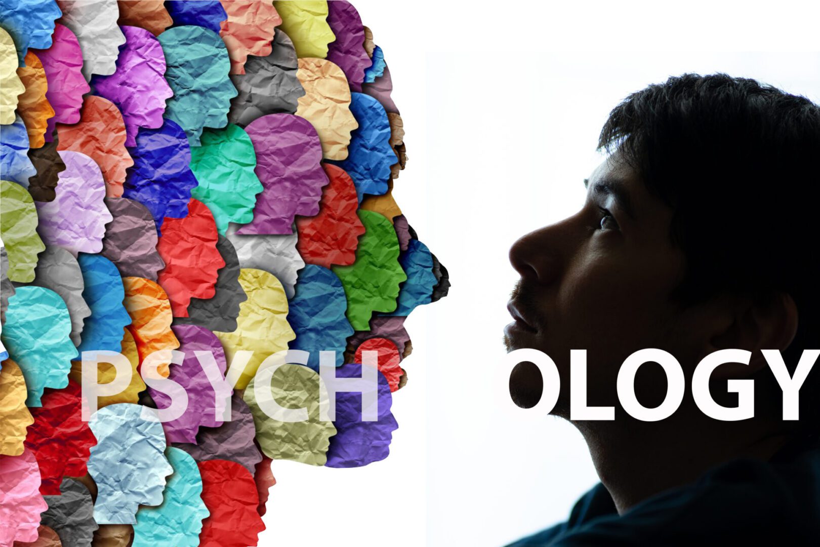 Psychology Demystified | SkillsFrameworks